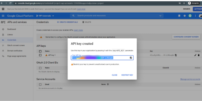 How to generate a Google custom Search API key?