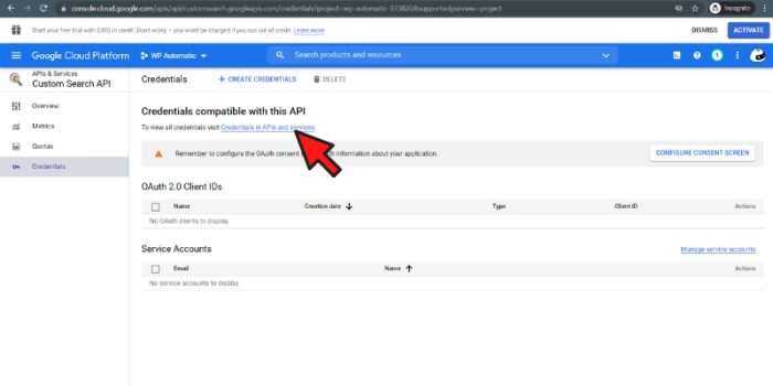 How to generate a Google custom Search API key?