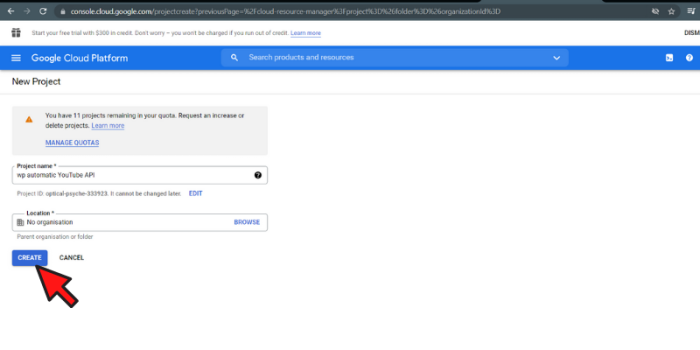 How to get a YouTube API Key