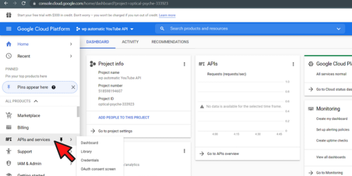 How to get a YouTube API Key