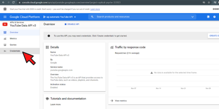 How to get a YouTube API Key