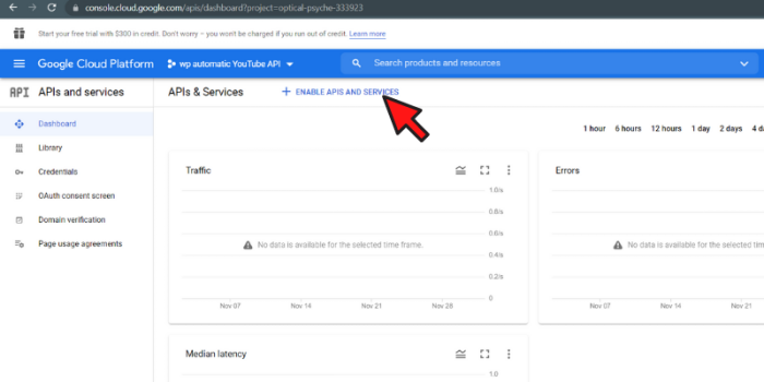 How to get a YouTube API Key