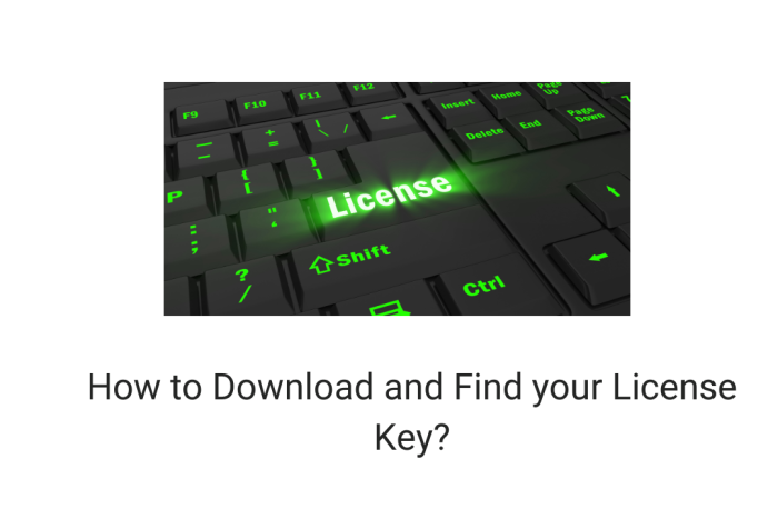 Download and Find your License Key