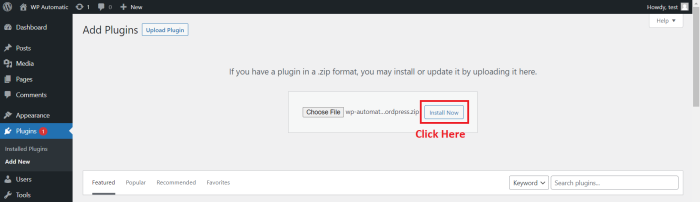 WP Automatic Installation - WP Automatic